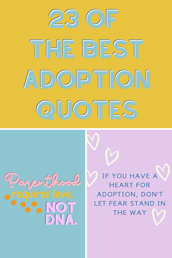 23 of the Best Adoption Quotes With Keepsake Images - Darling Quote