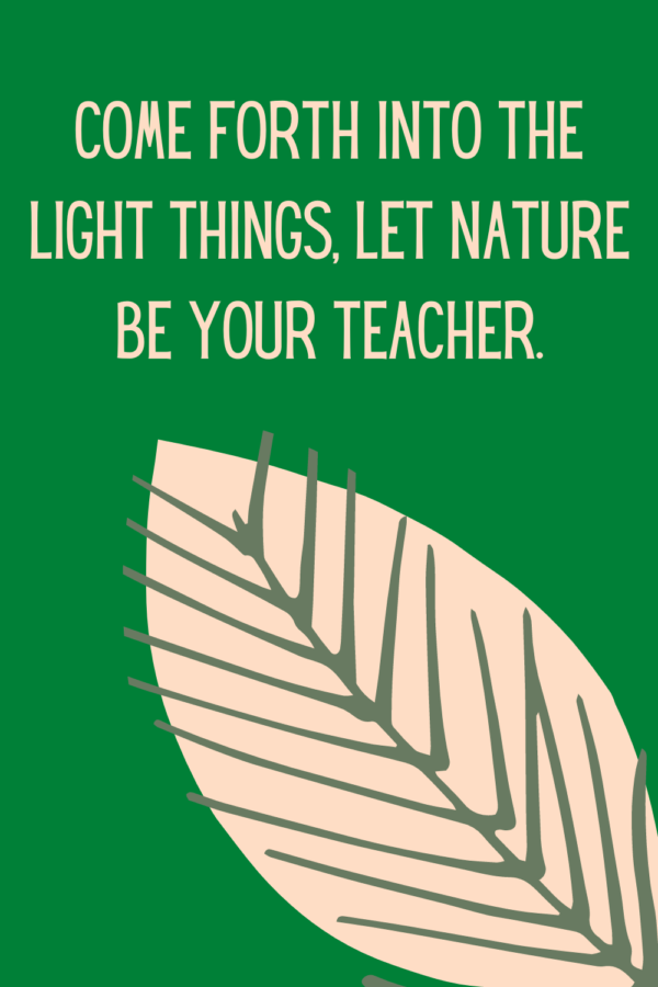 35 Beautiful Outdoor Quotes To Post Up Inside - Darling Quote