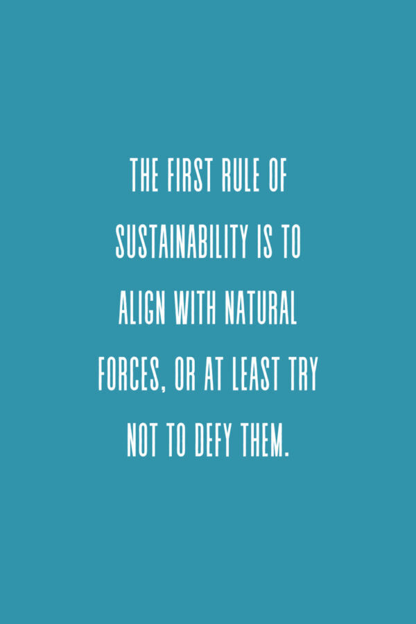 83 Eco-Friendly Sustainability Quotes to Live By - Darling Quote