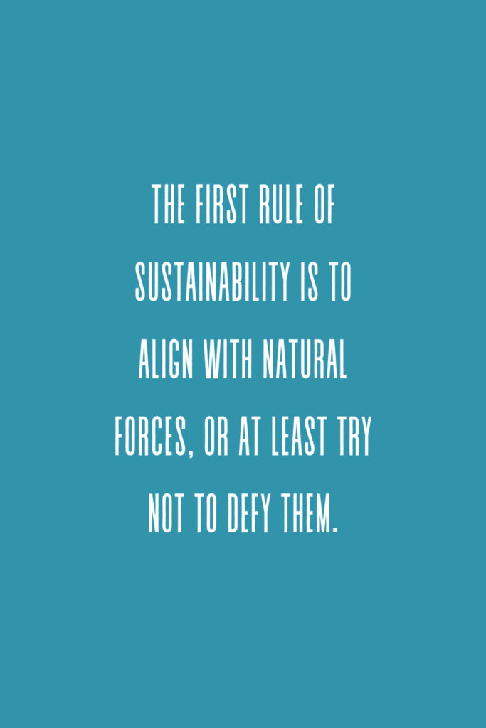 83 Eco-Friendly Sustainability Quotes to Live By - Darling Quote
