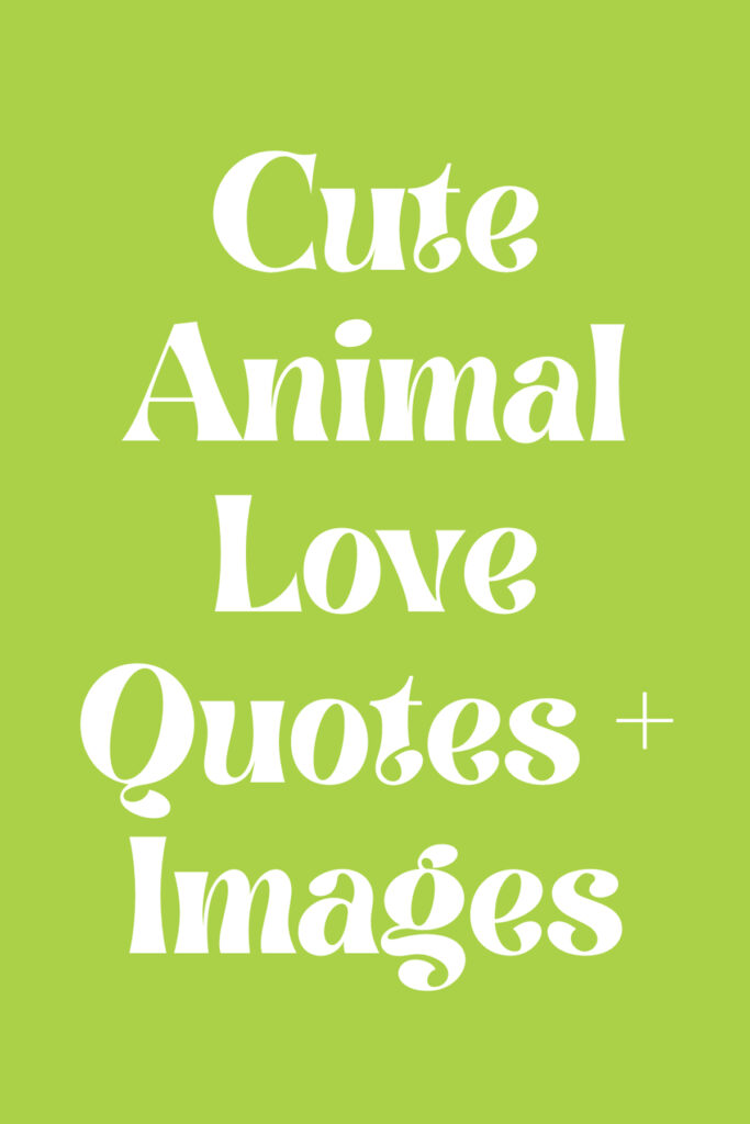 Cute Animal Love Quotes + Images - Darling Quote