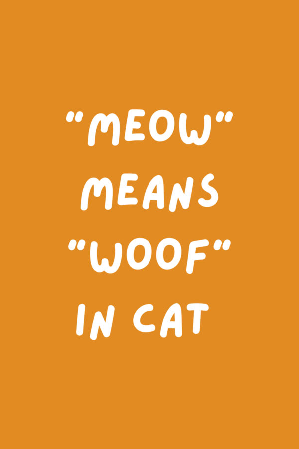 57 Hilariously Funny Animal Quotes for Your Favorite Pet - Darling Quote