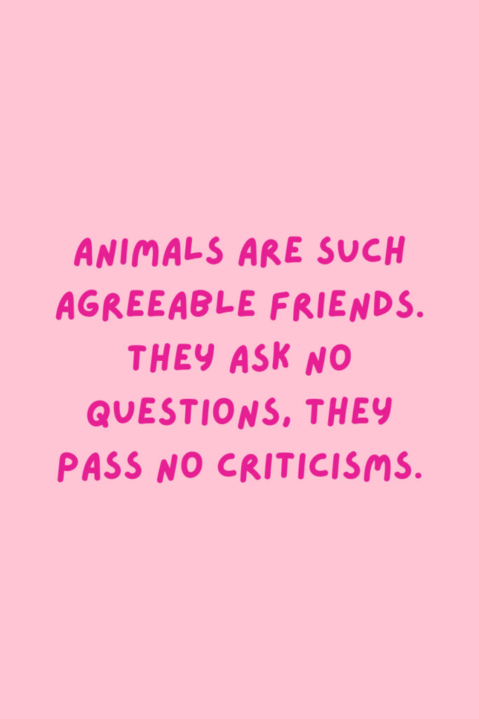 57 Hilariously Funny Animal Quotes for Your Favorite Pet - Darling Quote