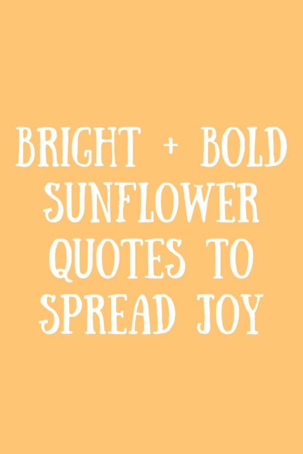 47 Sunflower Quotes to Spread Joy - Darling Quote