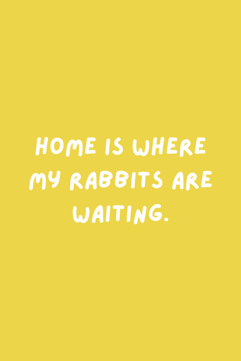 87 "Hoppy" Bunny Quotes + Captions for Instagram - Darling Quote