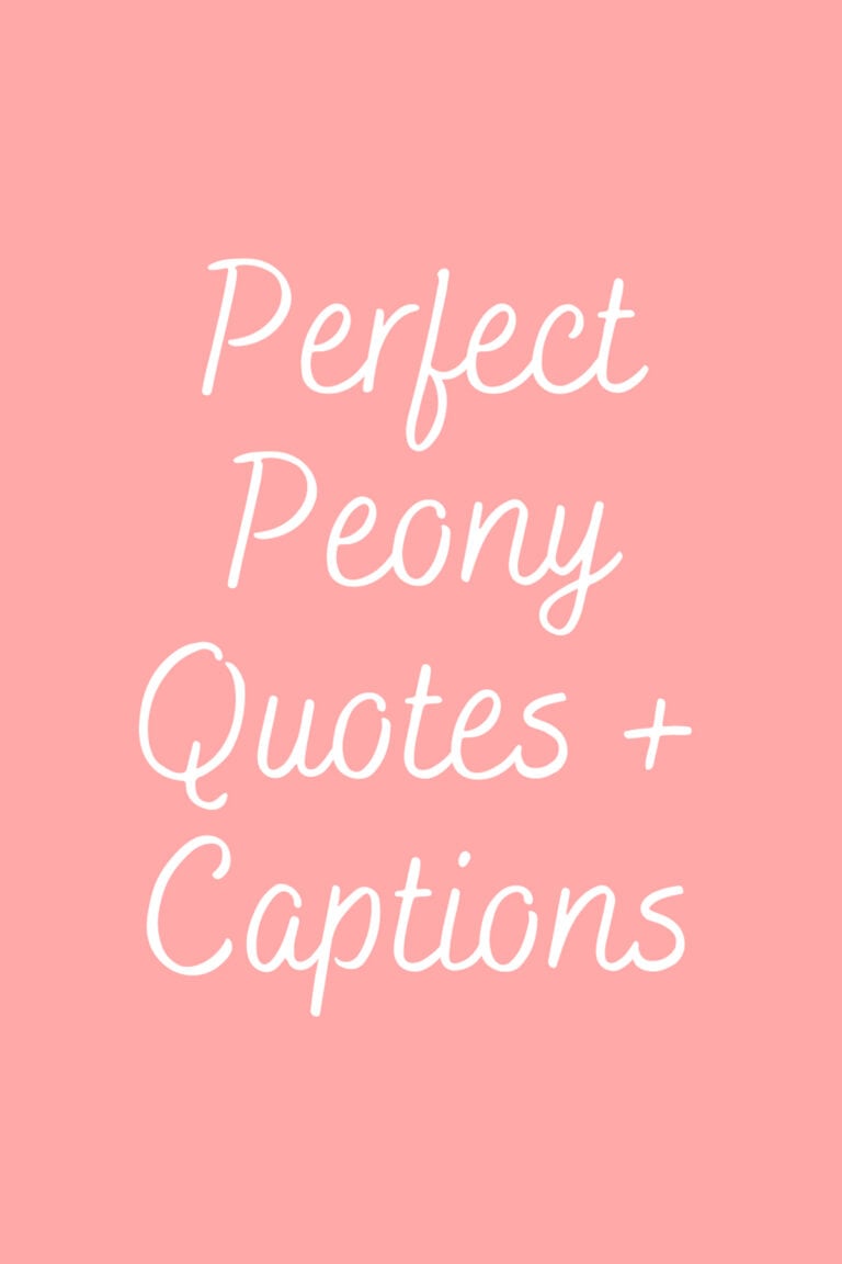 47+ Perfect Peony Quotes & Captions - Darling Quote