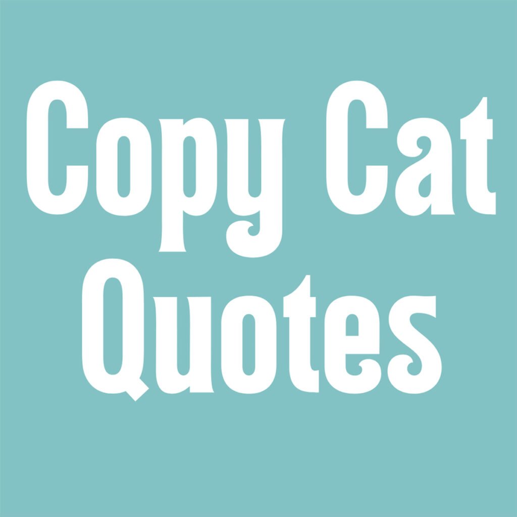 63+ Copy Cat Quotes, Funny Things to Say When Someone is Copying You ...