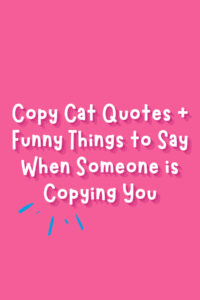 63+ Copy Cat Quotes, Funny Things to Say When Someone is Copying You ...