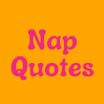Funny Nap Time Quotes for Power Sleeping - Darling Quote