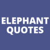 83 Inspiring Elephant Quotes and Positive Sayings - Darling Quote