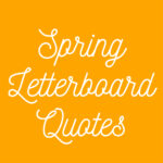 53+ Spring Letterboard Quotes to Make You Laugh - Darling Quote