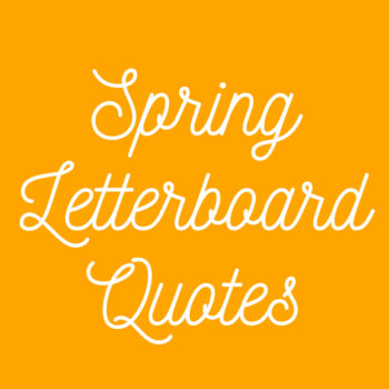 53+ Spring Letterboard Quotes to Make You Laugh - Darling Quote