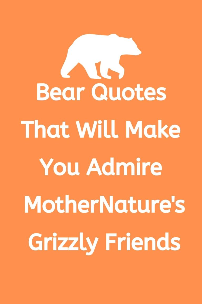 31 Bear Quotes For Adventures With Our Grizzly Friends - Darling Quote
