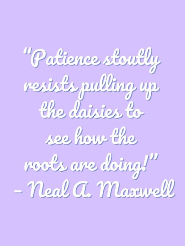 Bright and Beautifully Inspiring Daisy Quotes - Darling Quote