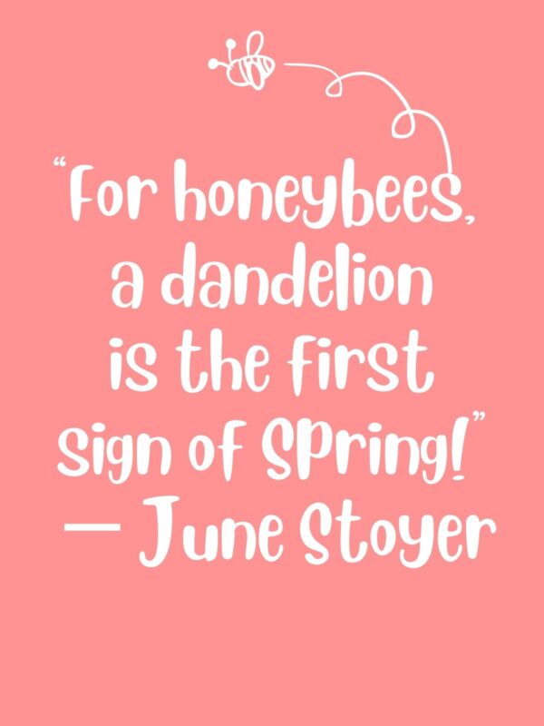37+ Refreshing and Whimsical Dandelion Quotes - Darling Quote