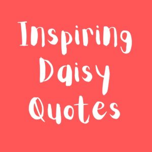 Bright and Beautifully Inspiring Daisy Quotes - Darling Quote