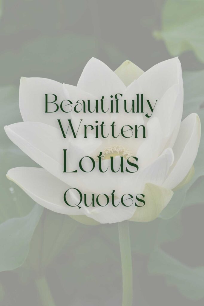 Lotus Flower Quotes About Self at Marisela Warren blog