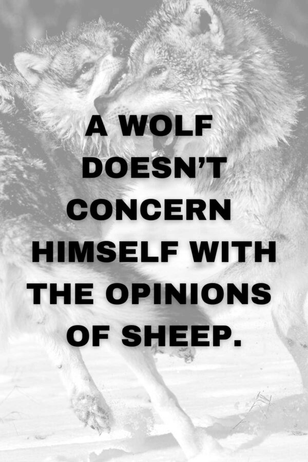 41+ Dangerously Strong Wolf Quotes - Darling Quote