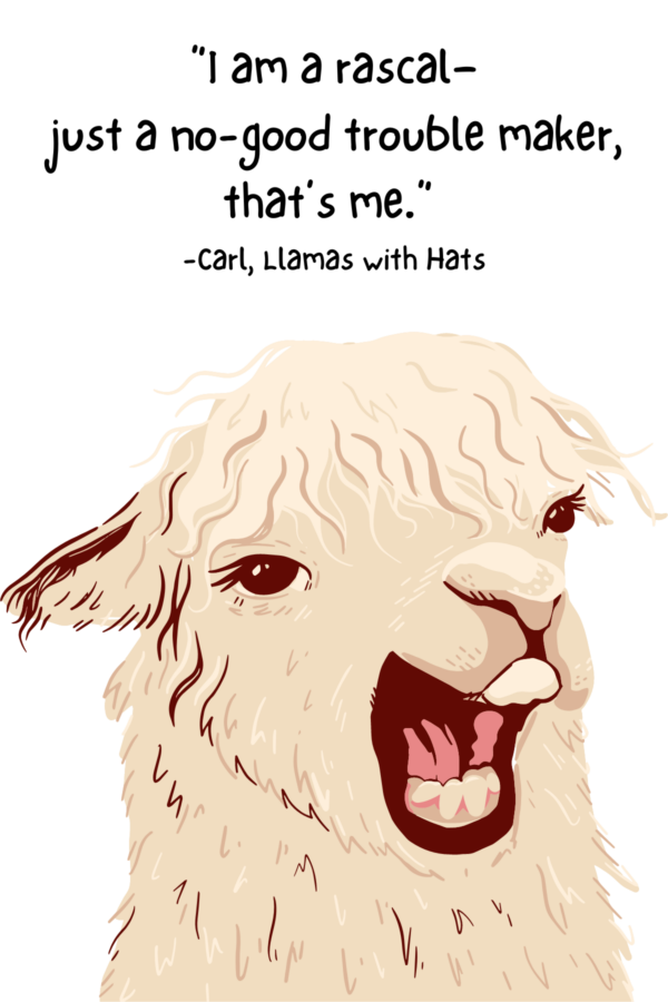 67 Adorable Llama Quotes, Captions & Sayings - Darling Quote