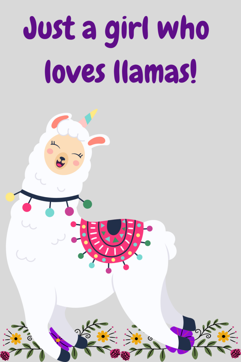 67 Adorable Llama Quotes, Captions & Sayings - Darling Quote