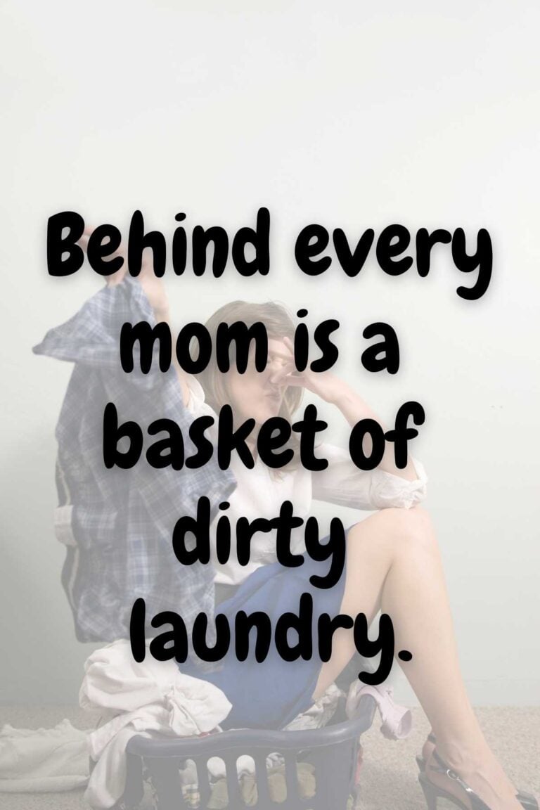 53+ Laundry Quotes for your Never Ending Pile - Darling Quote