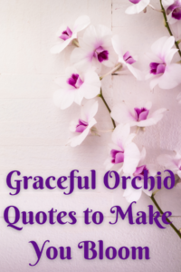63 Unique Orchid Quotes To Help You Bloom - Darling Quote