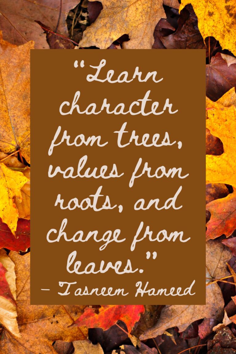 73 Lovely Leaf Quotes For Fall - Darling Quote