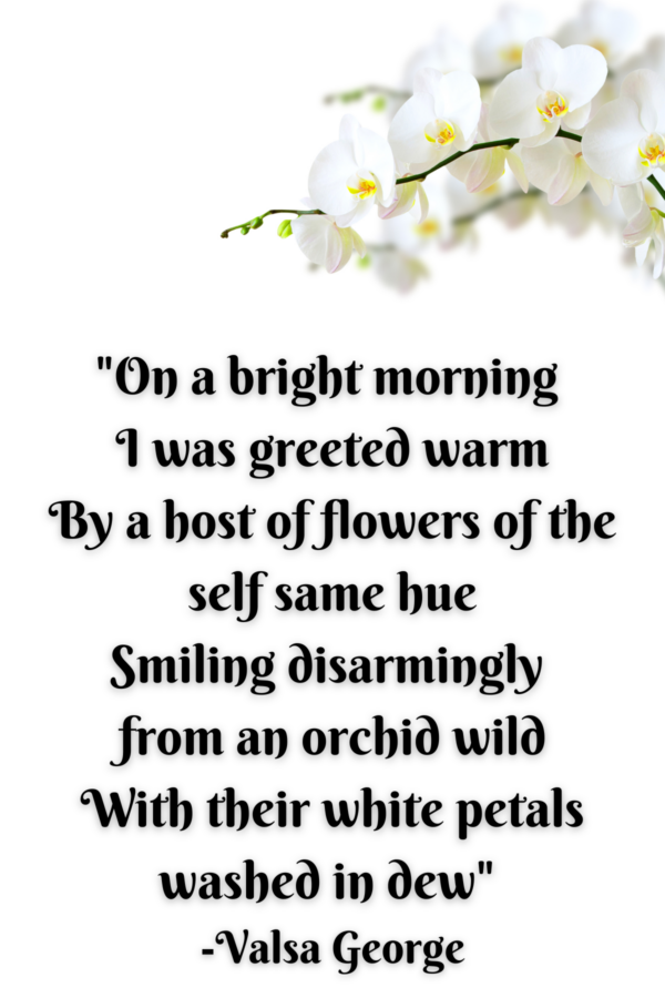 63 Unique Orchid Quotes To Help You Bloom - Darling Quote