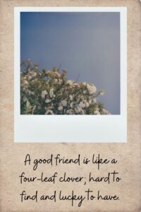 53 Thankful for My Tribe Quotes - Darling Quote