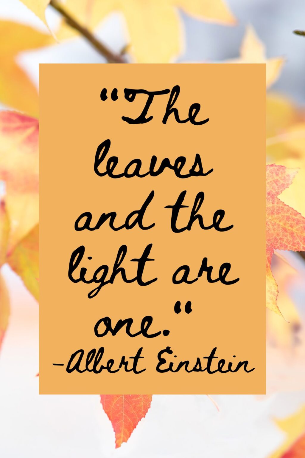 73 Lovely Leaf Quotes For Fall - Darling Quote