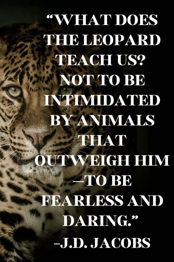 77 Powerful Leopard Quotes & Print Phrases - Darling Quote