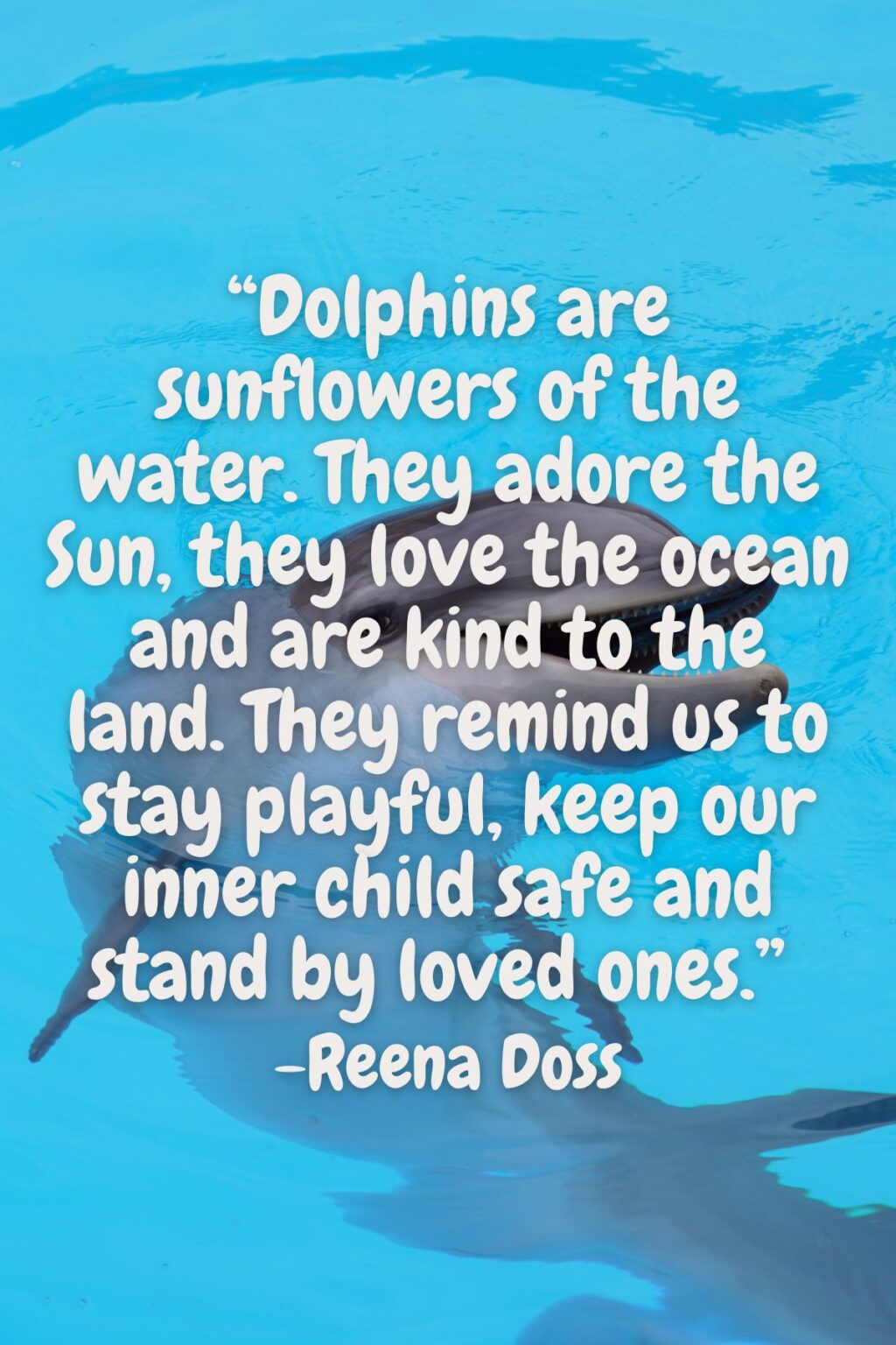 85 Powerful Dolphin Quotes And Captions - Darling Quote