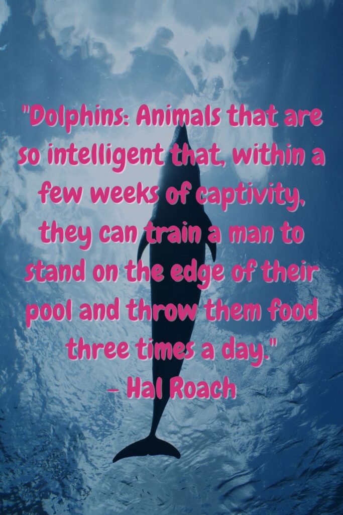 85 Powerful Dolphin Quotes And Captions - Darling Quote