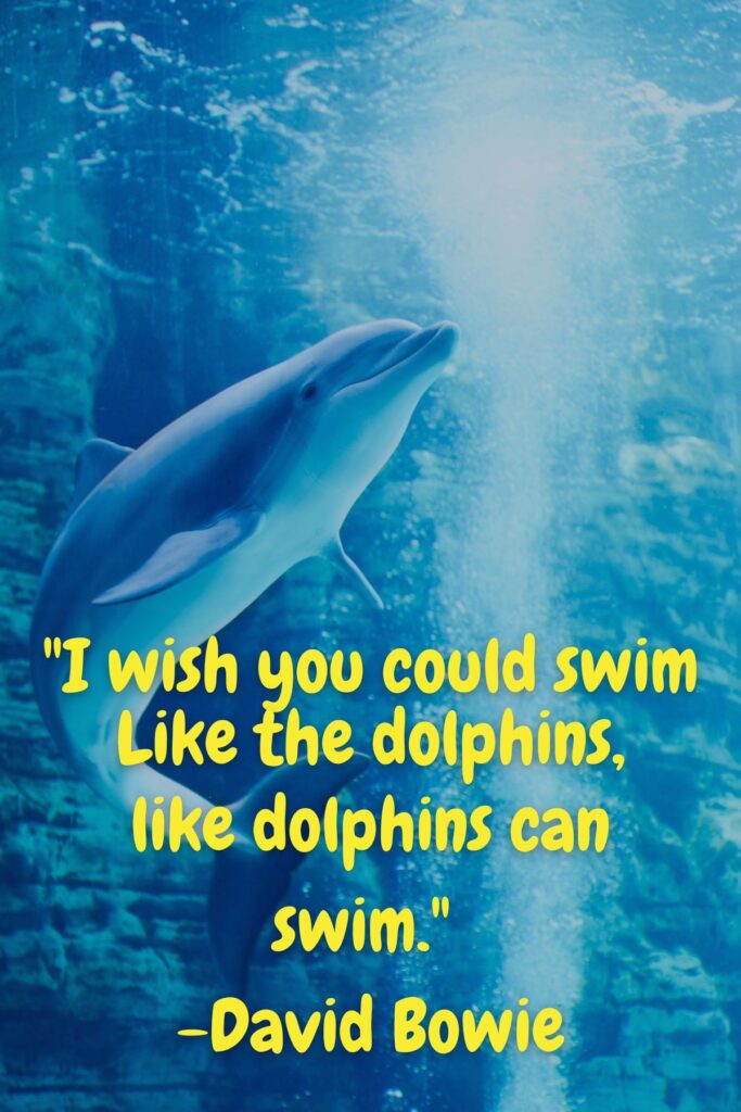 85 Powerful Dolphin Quotes And Captions - Darling Quote