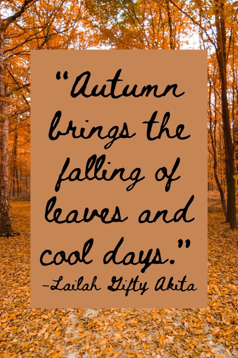 73 Lovely Leaf Quotes For Fall - Darling Quote