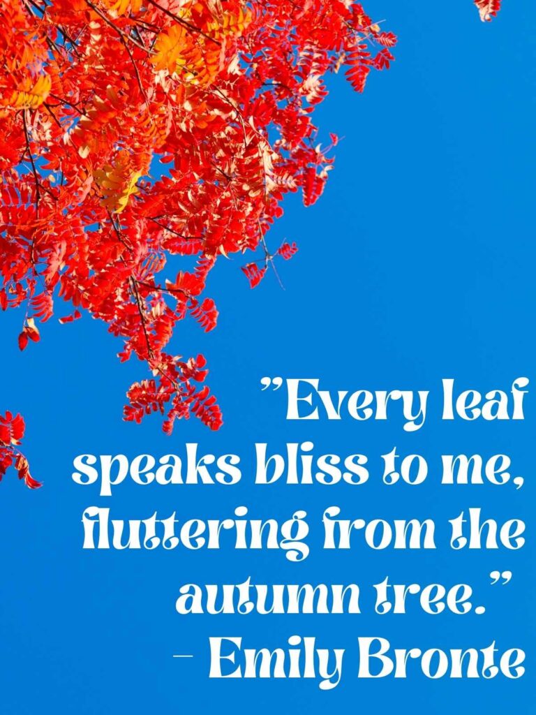Ultimate Hello November Quotes to Embrace Fall - Darling Quote