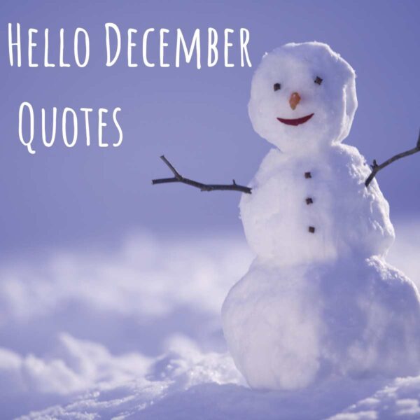 71 Magical Hello December Quotes - Darling Quote
