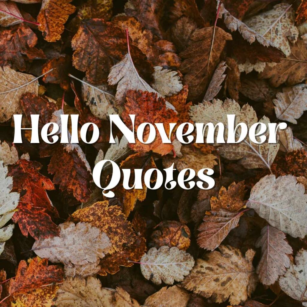 Ultimate Hello November Quotes to Embrace Fall - Darling Quote