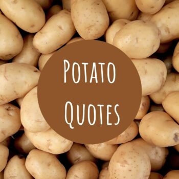 Best Potato Quotes for Food Lovers - Darling Quote