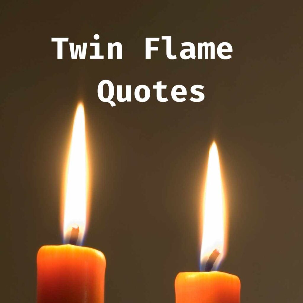 Magical Twin Flame Quotes To See If They're the One - Darling Quote