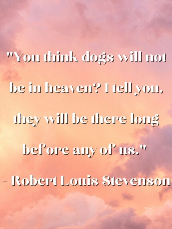 Best Dog Heaven Quotes to Ease Your Sorrows - Darling Quote