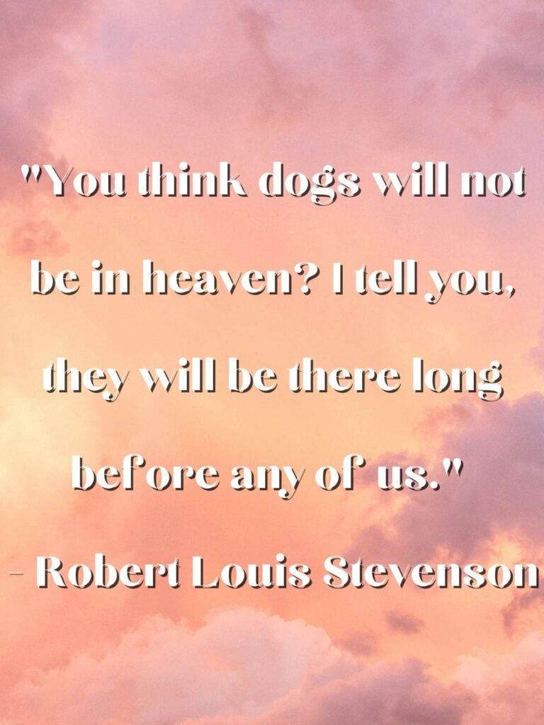 Best Dog Heaven Quotes to Ease Your Sorrows - Darling Quote