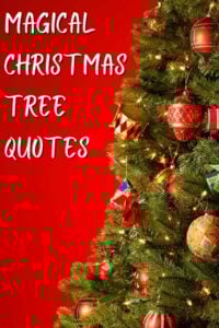 91 Christmas Tree Quotes That Are Festively Short - Darling Quote