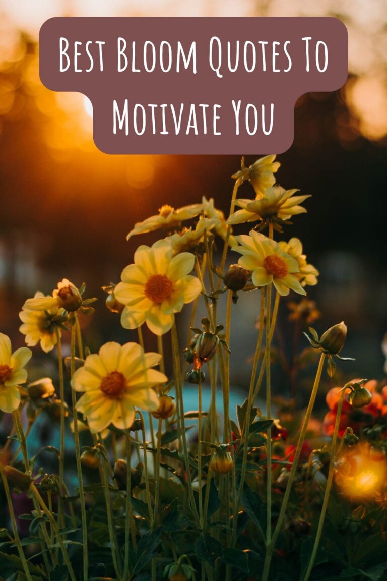 Best Bloom Quotes To Motivate Your Growth - Darling Quote
