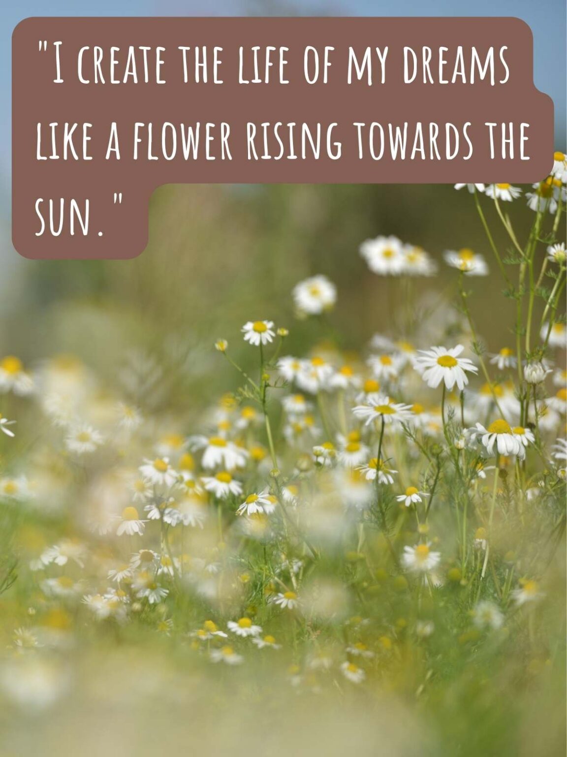 Best Bloom Quotes To Motivate Your Growth - Darling Quote