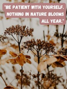 Best Bloom Quotes To Motivate Your Growth - Darling Quote