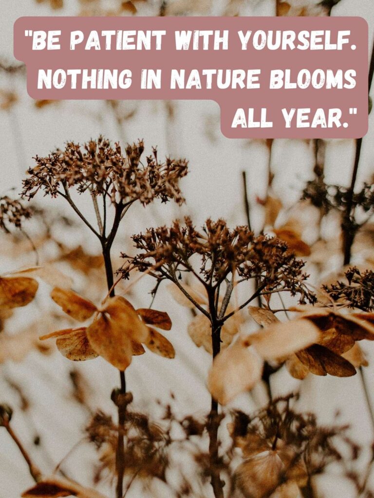 Best Bloom Quotes To Motivate Your Growth - Darling Quote