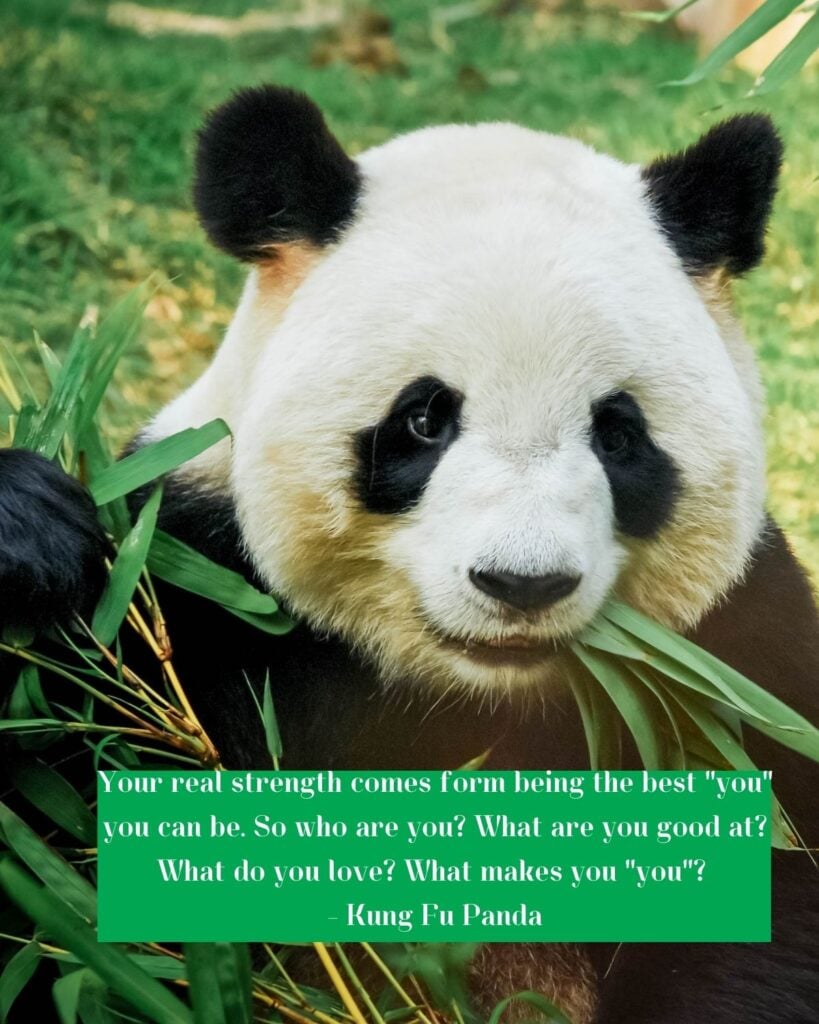37 Cute & Fun Panda Quotes - Darling Quote