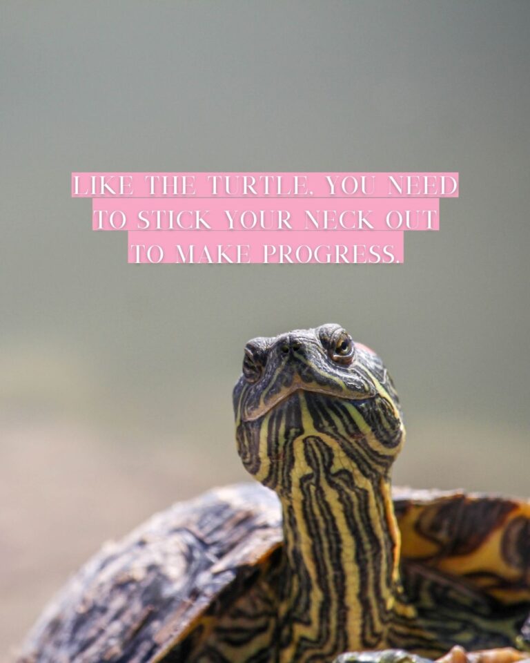 101+ Turtle Quotes For Sea & Land - Darling Quote