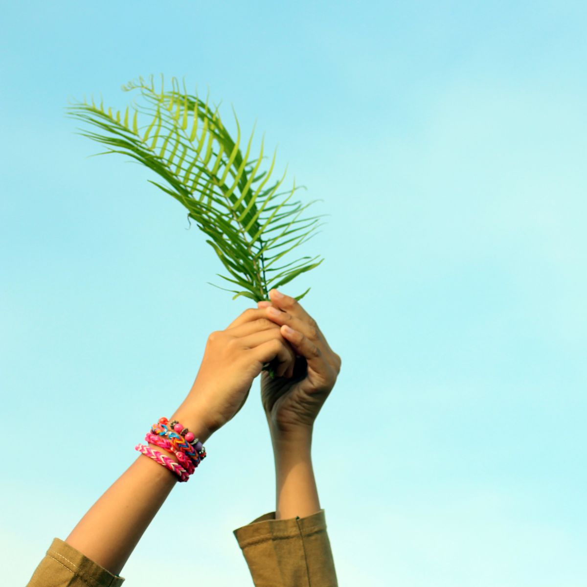 57 Palm Sunday Quotes For This Easter - Darling Quote